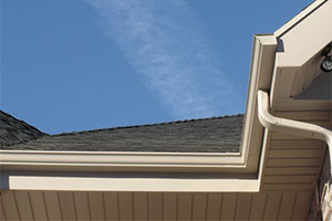 Best Minnesota Gutter Company | Minnesota Leafless Gutters